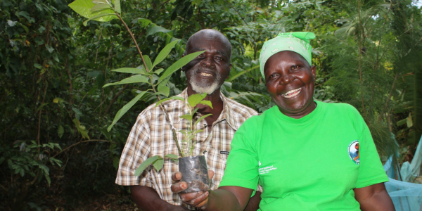 You're helping Kenya’s last tropical rainforest